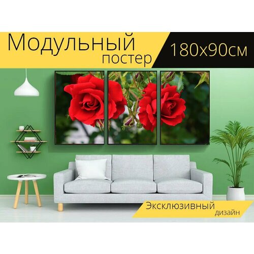 Модульный постер "Rose, роуз, красный" 180 x 90 см. для интерьера