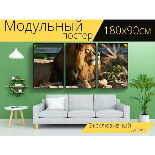 Модульный постер "Лев, хищник, опасный" 180 x 90 см. для интерьера