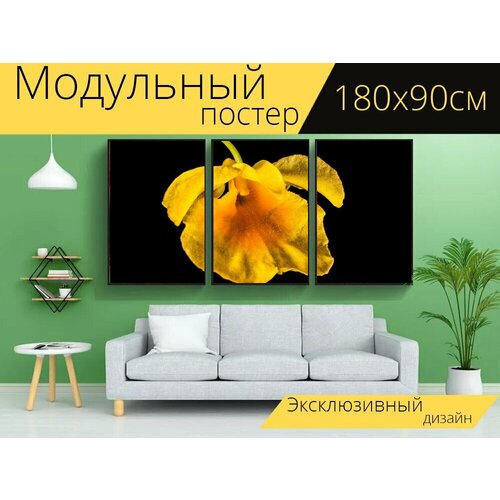 Модульный постер "Орхидея, дикая орхидея, желтый" 180 x 90 см. для интерьера