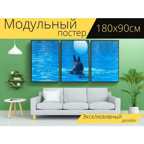 Модульный постер "Бутылконосый дельфин, дельфин, играть" 180 x 90 см. для интерьера