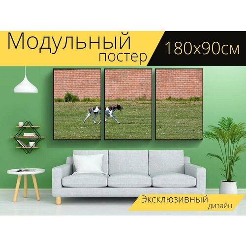 Модульный постер "Английский пойнтер, указатель, собака" 180 x 90 см. для интерьера