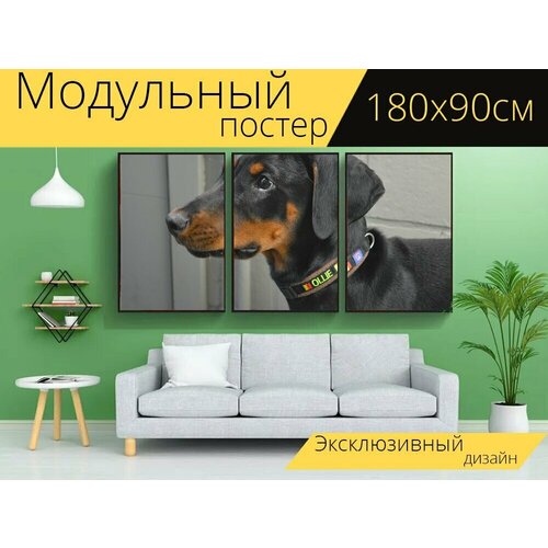 Модульный постер "Доберман, собака, животные" 180 x 90 см. для интерьера