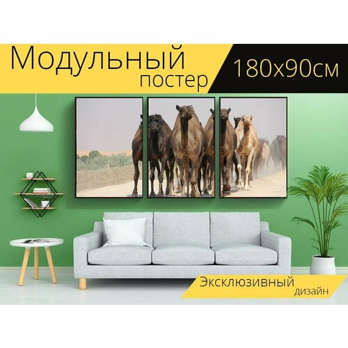 Модульный постер "Верблюд, египте, египет" 180 x 90 см. для интерьера