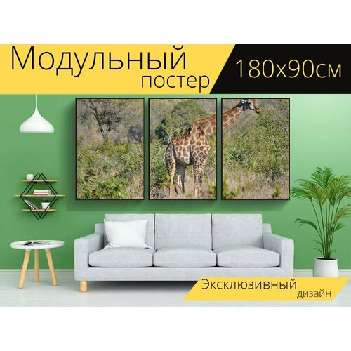 Модульный постер "Жирафа, животное, саванна" 180 x 90 см. для интерьера