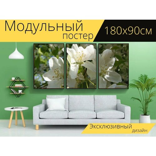 Модульный постер "Весна, остров маргарет, цветы" 180 x 90 см. для интерьера