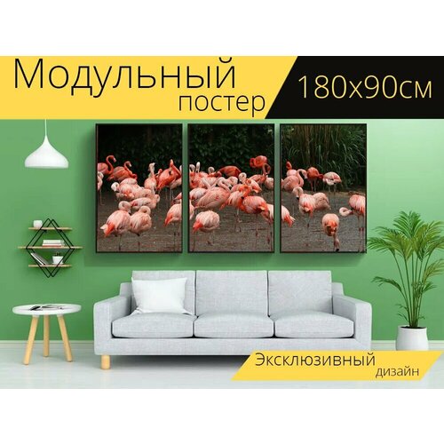 Модульный постер "Фламинго, прага, зоопарк" 180 x 90 см. для интерьера
