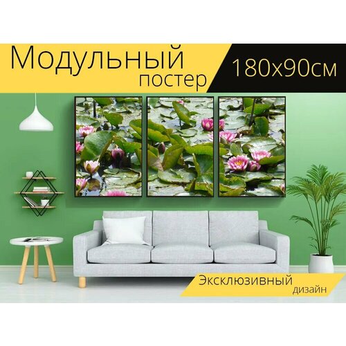 Модульный постер "Кубышка растение, водяные лилии, розовый" 180 x 90 см. для интерьера