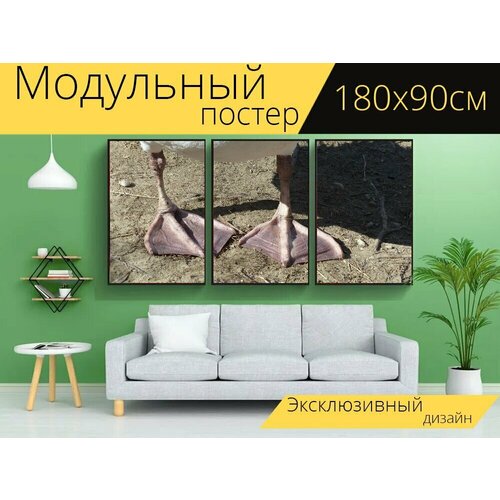 Модульный постер "Немой лебедь, лебедь, птица" 180 x 90 см. для интерьера