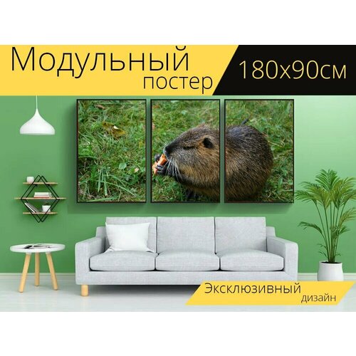 Модульный постер "Нутрия, водяная крыса, ондатра" 180 x 90 см. для интерьера