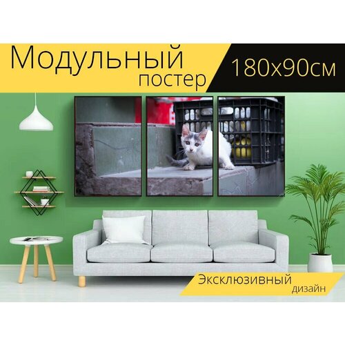 Модульный постер "Домашние животные, кошка, закрыть" 180 x 90 см. для интерьера