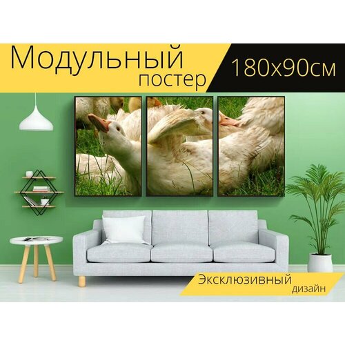 Модульный постер "Гусь, животное, белый" 180 x 90 см. для интерьера