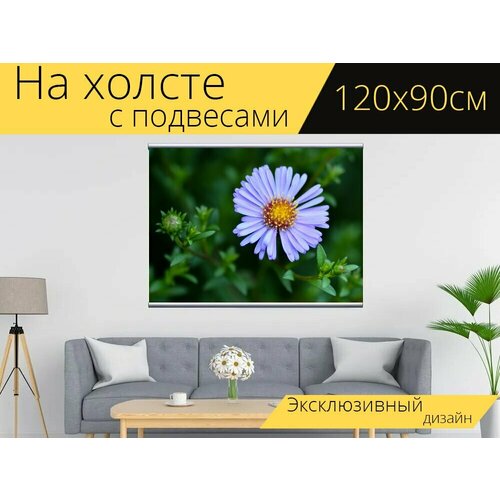 Картина на холсте "Астра, цветок, завод" с подвесами 120х90 см. для интерьера