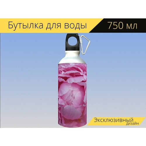 Бутылка фляга для воды "Пион, розовый, цветок" 750 мл. с карабином и принтом