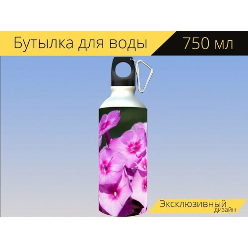 Бутылка фляга для воды "Сад флокс, флокс, цветок" 750 мл. с карабином и принтом