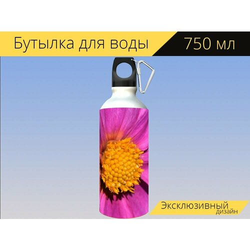 Бутылка фляга для воды "Космея, цветок, корзина для украшений" 750 мл. с карабином и принтом
