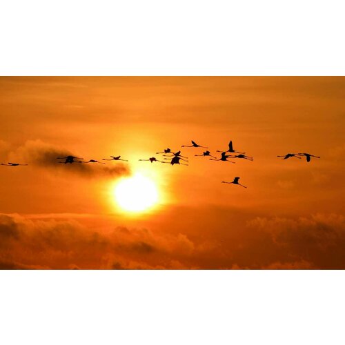 Картина на холсте 60x110 Альянс Лес "Закат небо природа полёт птицы" на подрамнике / интерьер/ декор