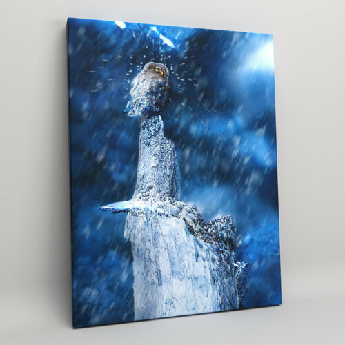 Картина на холсте (интерьерный постер) "Сова под дождем", с деревянным подрамником, размер 30x40 см