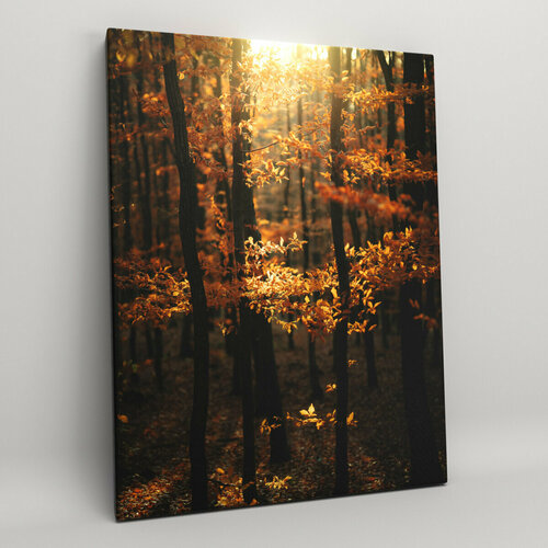 Картина на холсте (интерьерный постер) "Свет сквозь деревья", с деревянным подрамником, размер 30x40 см