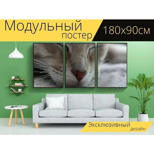 Модульный постер "Кот, нос, усы" 180 x 90 см. для интерьера