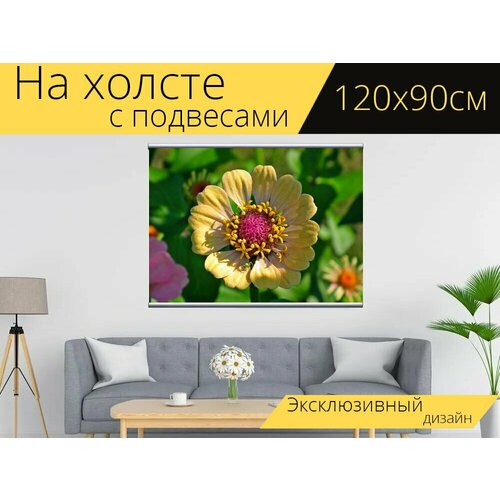 Картина на холсте "Цветок, лепестки, цинния" с подвесами 120х90 см. для интерьера