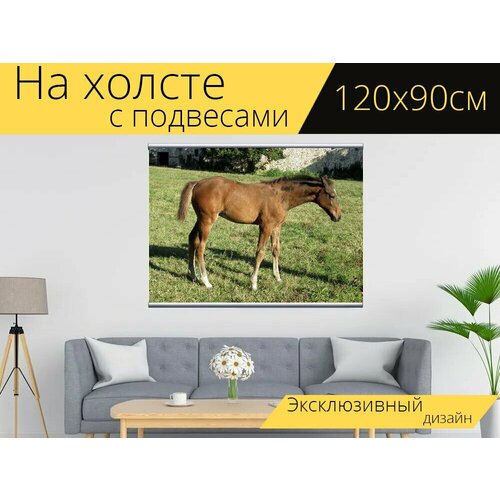 Картина на холсте "Жеребенок, лошадь, лошади" с подвесами 120х90 см. для интерьера