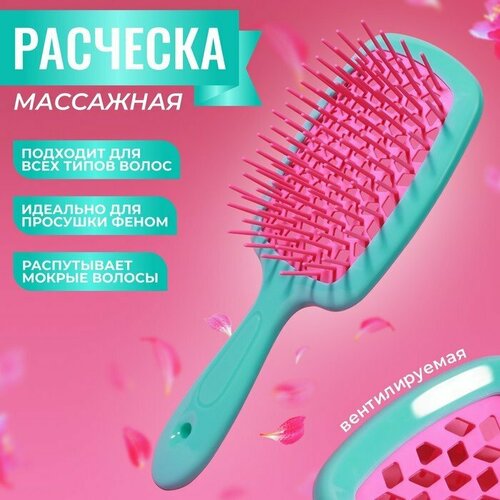 Расчёска массажная, широкая, вентилируемая, 8,5 × 20,5 см, PVC коробка, цвет бирюзовый/розовый (комплект из 6 шт)