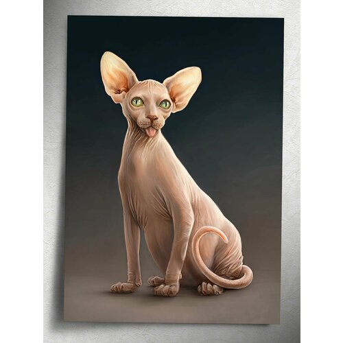 Постер: забавный кот сфинкс, на А3
