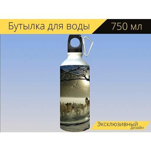 Бутылка фляга для воды "Собаки, хаски, животное" 750 мл. с карабином и принтом
