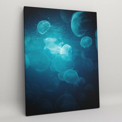 Картина на холсте (интерьерный постер) "Медузы океан" с деревянным подрамником, размер 30х40 см