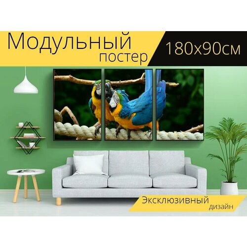 Модульный постер "Попугай, желтогрудый попугай, жёлтый ара" 180 x 90 см. для интерьера