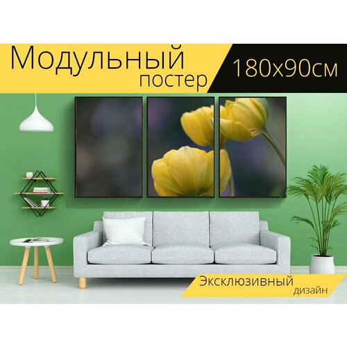 Модульный постер "Тюльпан, желтые тюльпаны, цветы" 180 x 90 см. для интерьера