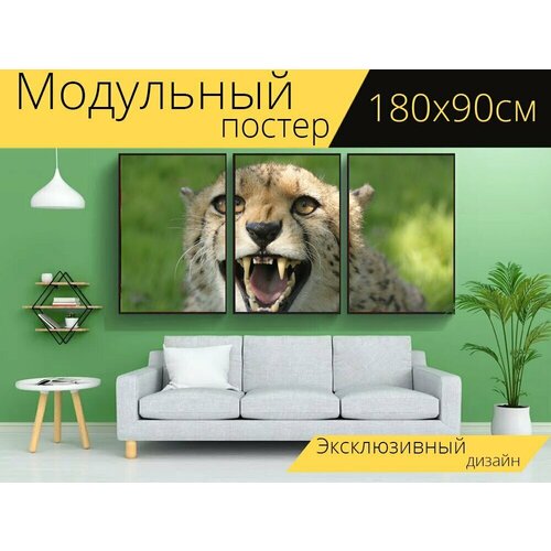 Модульный постер "Гепард, кошка, хищник" 180 x 90 см. для интерьера