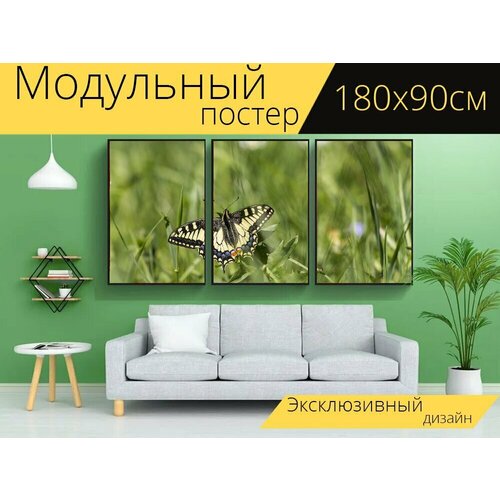 Модульный постер "Старый мир ласточкин хвост, бабочка монарх, папилио махаон" 180 x 90 см. для интерьера