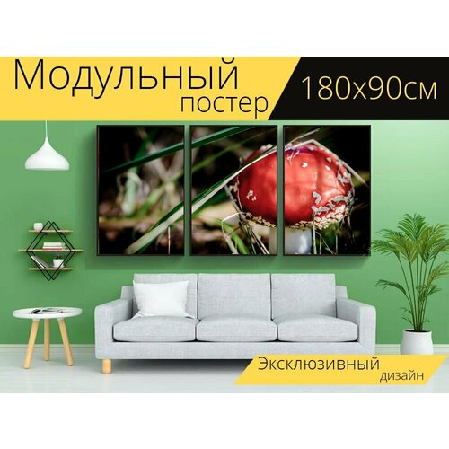 Модульный постер "Красная поганка, грибы, гриб" 180 x 90 см. для интерьера