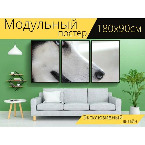 Модульный постер "Собака, хаски, сибирский хаски" 180 x 90 см. для интерьера