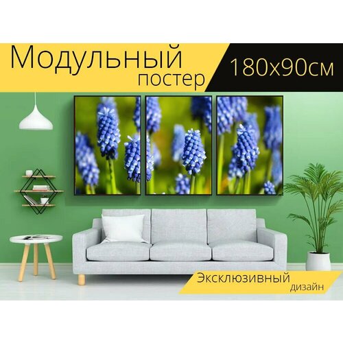 Модульный постер "Цветок, весна, синий" 180 x 90 см. для интерьера