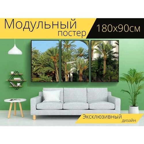 Модульный постер "Тунис, зарзис, пальмовые деревья" 180 x 90 см. для интерьера