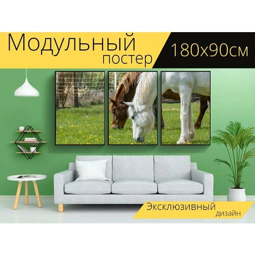 Модульный постер "Лошади, пастись, лошадиная голова" 180 x 90 см. для интерьера