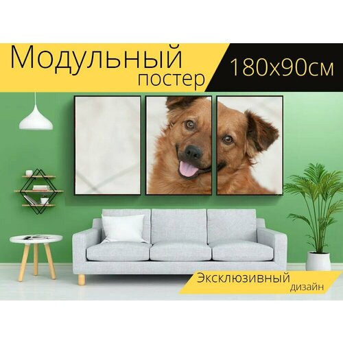 Модульный постер "Щенок, собака улыбается, собака" 180 x 90 см. для интерьера