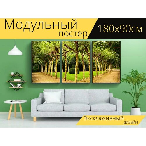 Модульный постер "Pollard, ива, ряд деревьев" 180 x 90 см. для интерьера