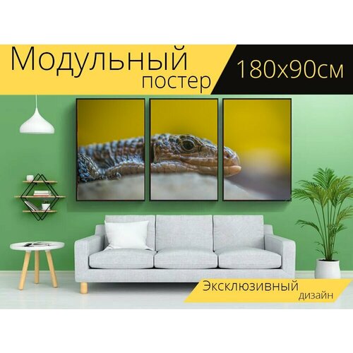Модульный постер "Рептилия, ящерица, живая природа" 180 x 90 см. для интерьера