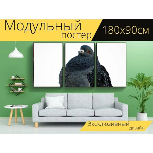 Модульный постер "Птица, голубь, серый" 180 x 90 см. для интерьера