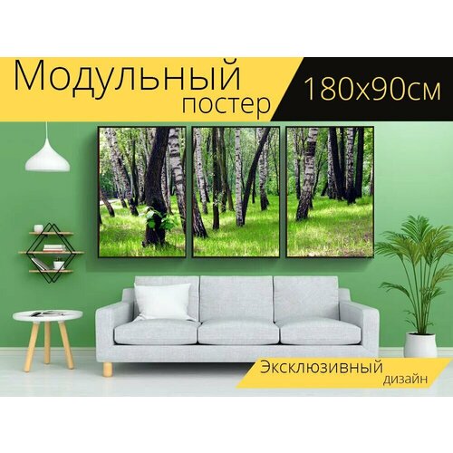 Модульный постер "Лето, березы, трава" 180 x 90 см. для интерьера