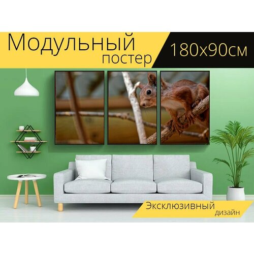 Модульный постер "Грызун, милый, животное" 180 x 90 см. для интерьера