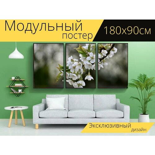 Модульный постер "Вишни в цвету, расцветает, весна" 180 x 90 см. для интерьера