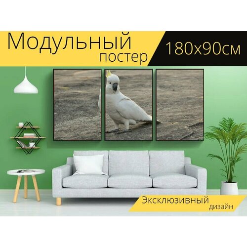 Модульный постер "Какаду, попугай, птица" 180 x 90 см. для интерьера