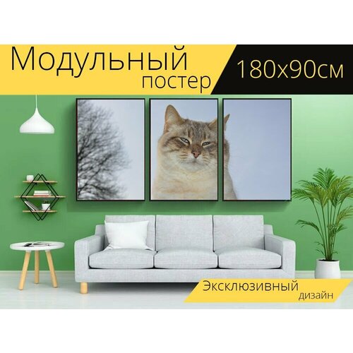 Модульный постер "Кошка, кот, киска нала" 180 x 90 см. для интерьера