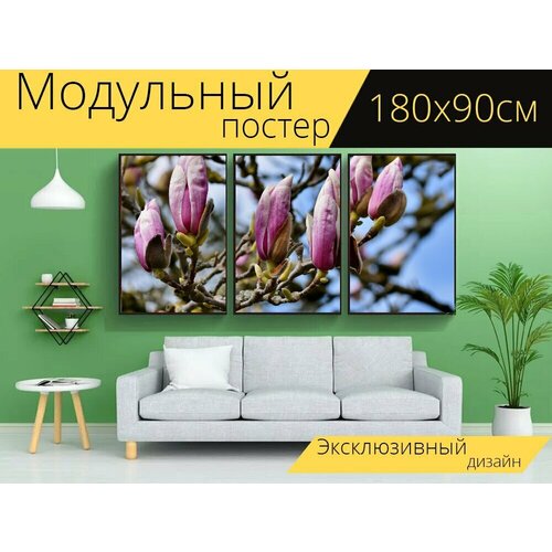 Модульный постер "Магнолия, цветы, бутоны" 180 x 90 см. для интерьера