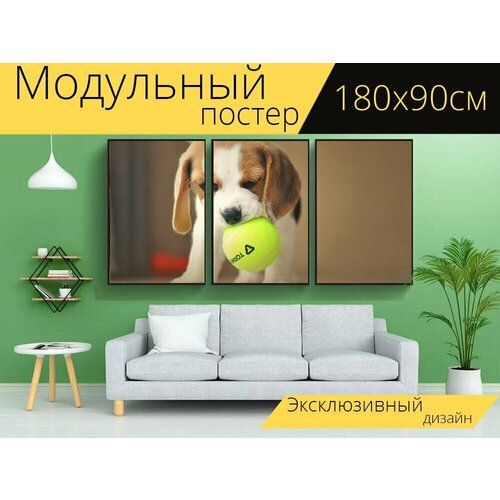 Модульный постер "Щенок, собака, бигль" 180 x 90 см. для интерьера