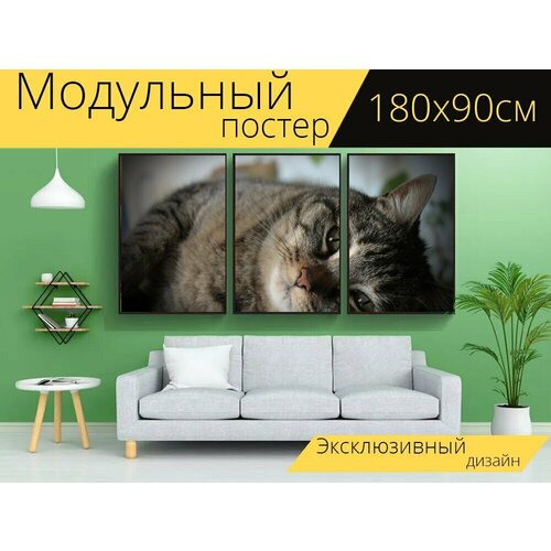 Модульный постер "Кот, талисман, животное" 180 x 90 см. для интерьера
